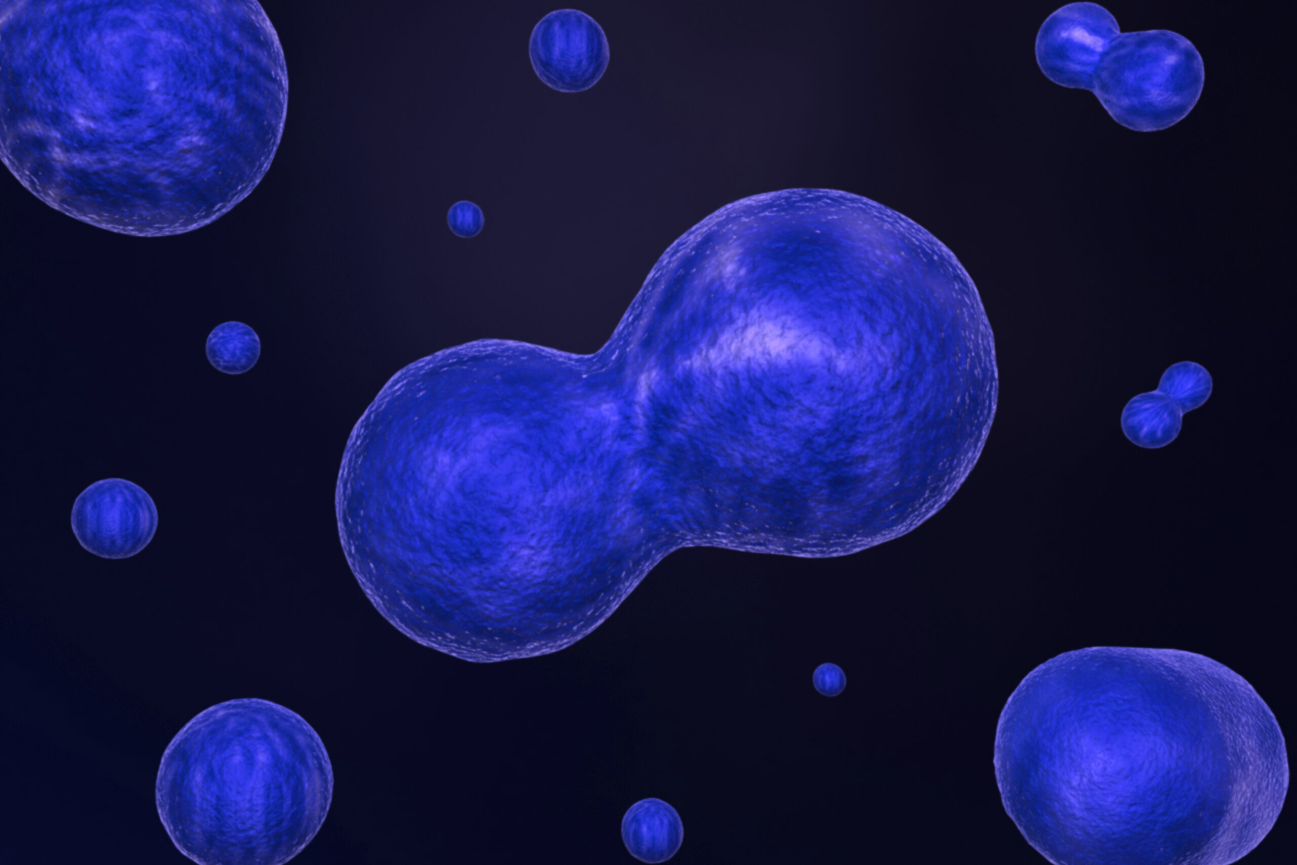 Chapter 10 Presentation: Mendel and Meiosis | Interactive Biology, with ...