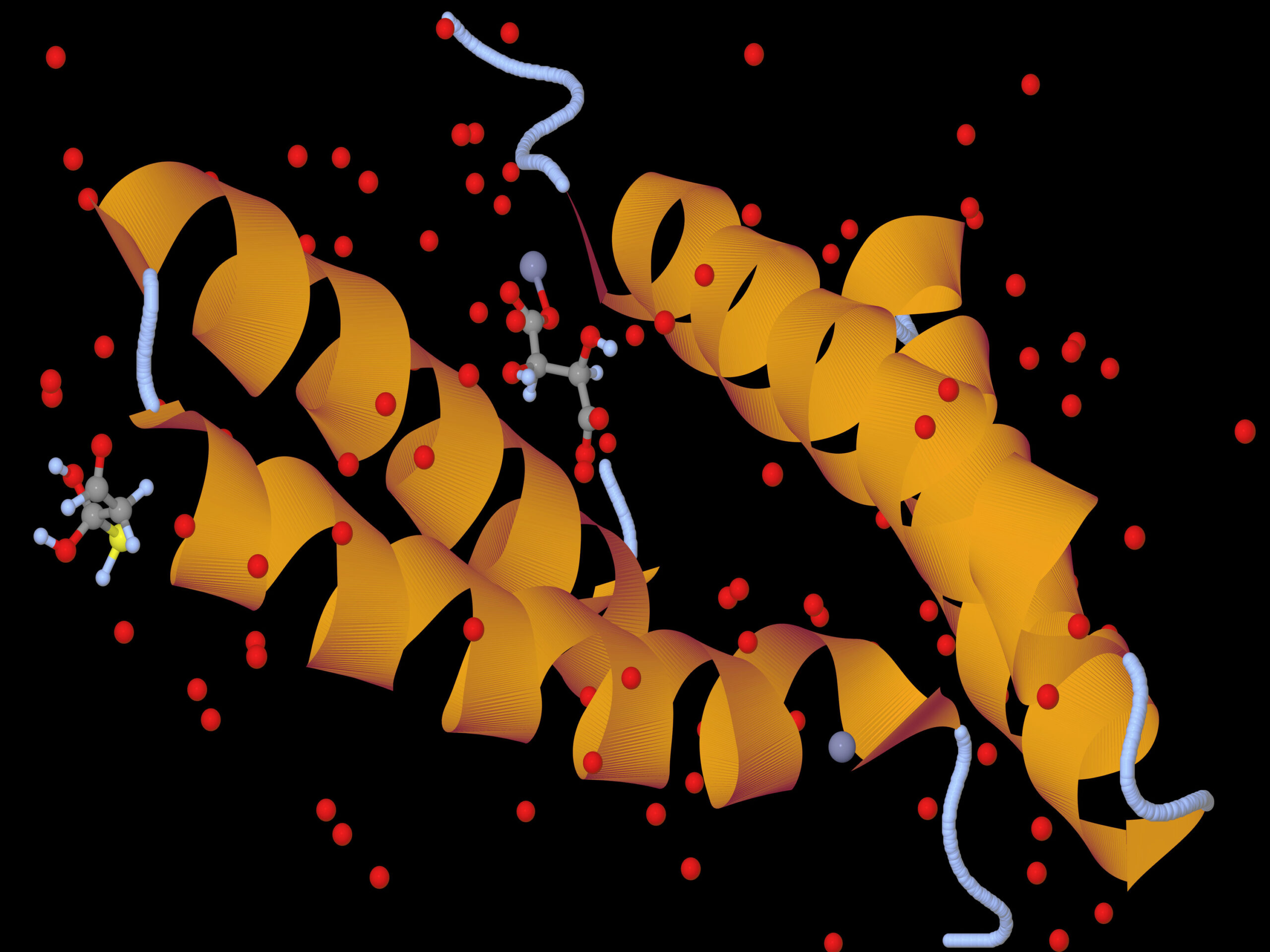 The Basics of Protein Structure and Function | Interactive Biology ...