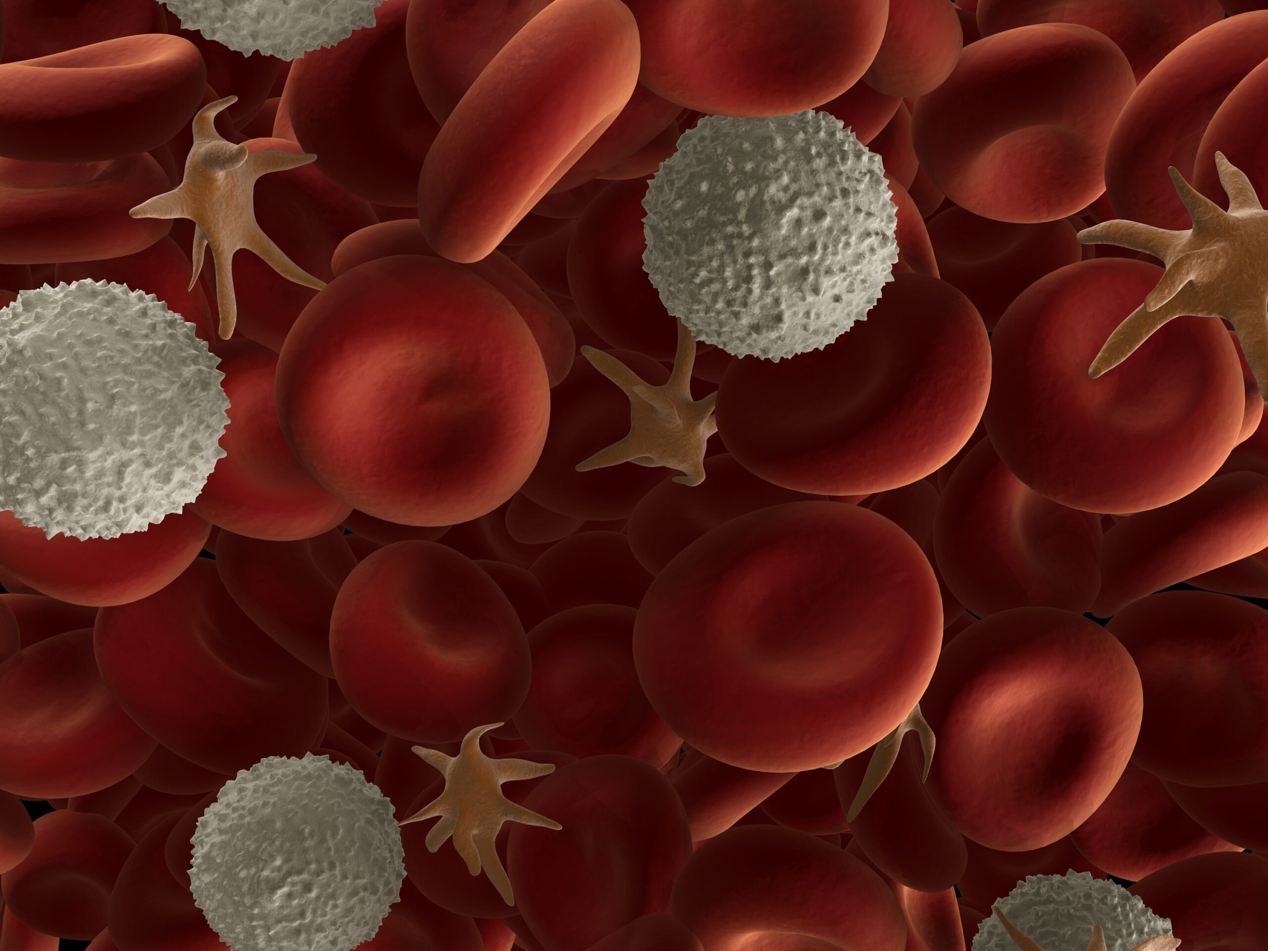 A Brief Review on The Study of Blood and Its Different Components | Interactive Biology, with ...