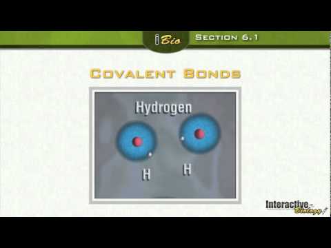 Video: Atoms and Their Interactions - The Chemistry of Life ...