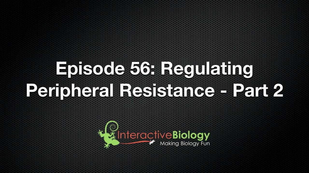 056 Regulating Peripheral Resistance - Part 2 | Interactive Biology ...