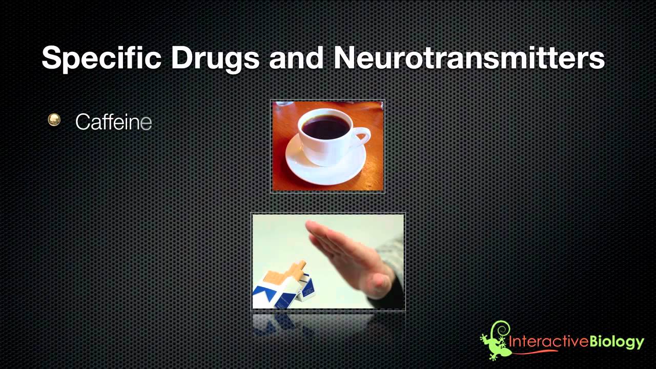 021 The Mechanism of Addiction | Interactive Biology, with Leslie Samuel