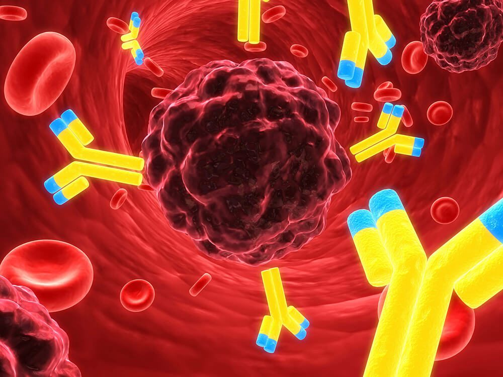 The Immune System -- Our Body Defenses | Interactive Biology, with ...