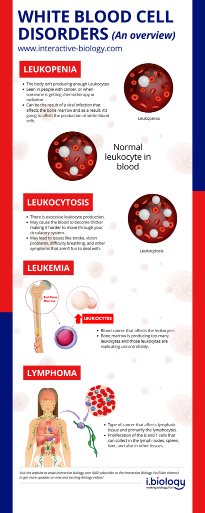 Disorders of Leukocytes/White Blood Cells - An Overview | Interactive ...