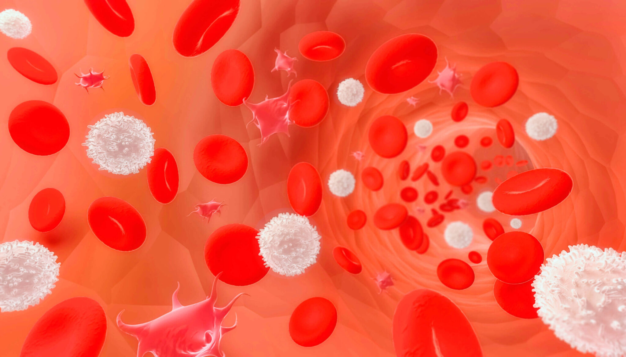 Introduction to White Blood Cells a.k.a. Leukocytes | Interactive ...