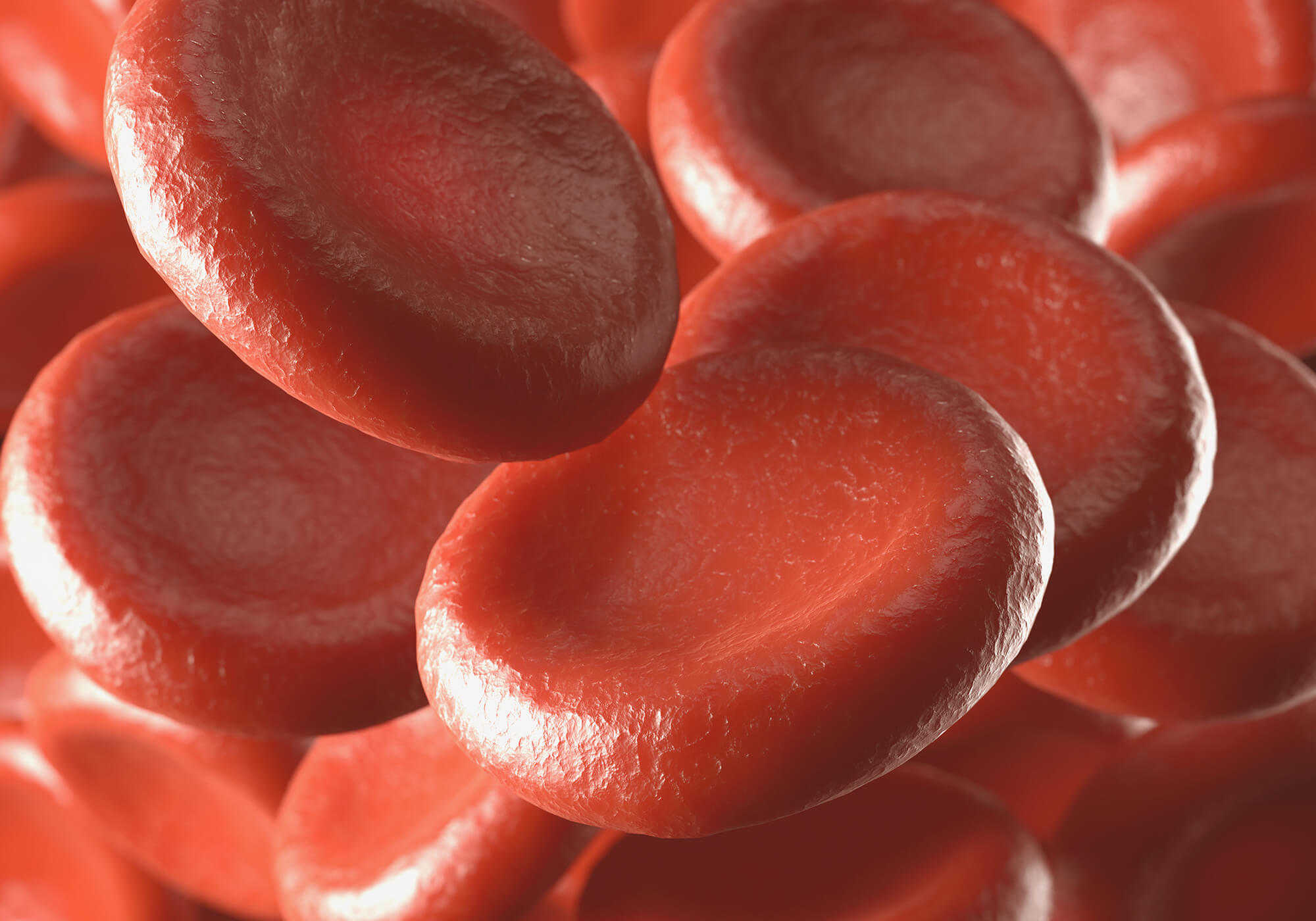 Blood Cells Red
